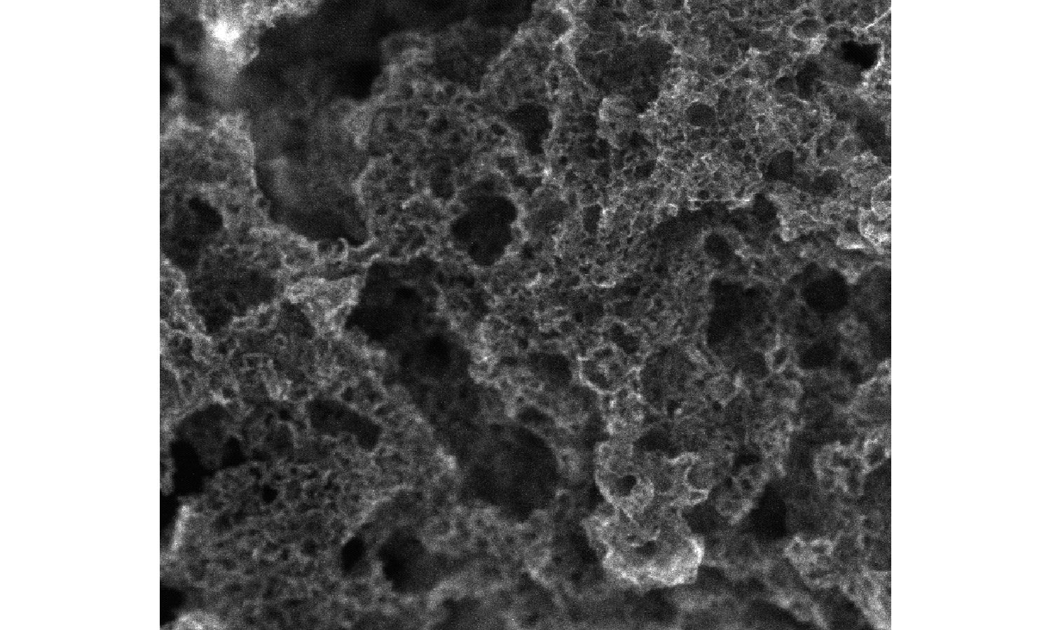 Pajarito Powder part of research team improving performance of PGM-free ...